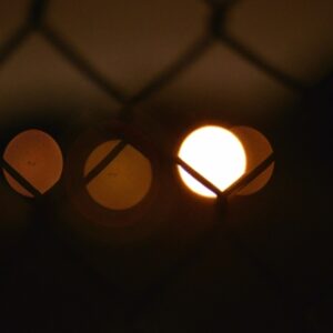 Fluxion — Vibrant Forms (Reissue) | The Quietus