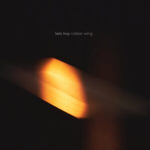 Telo Hoy — Rubber Wing | The Quietus