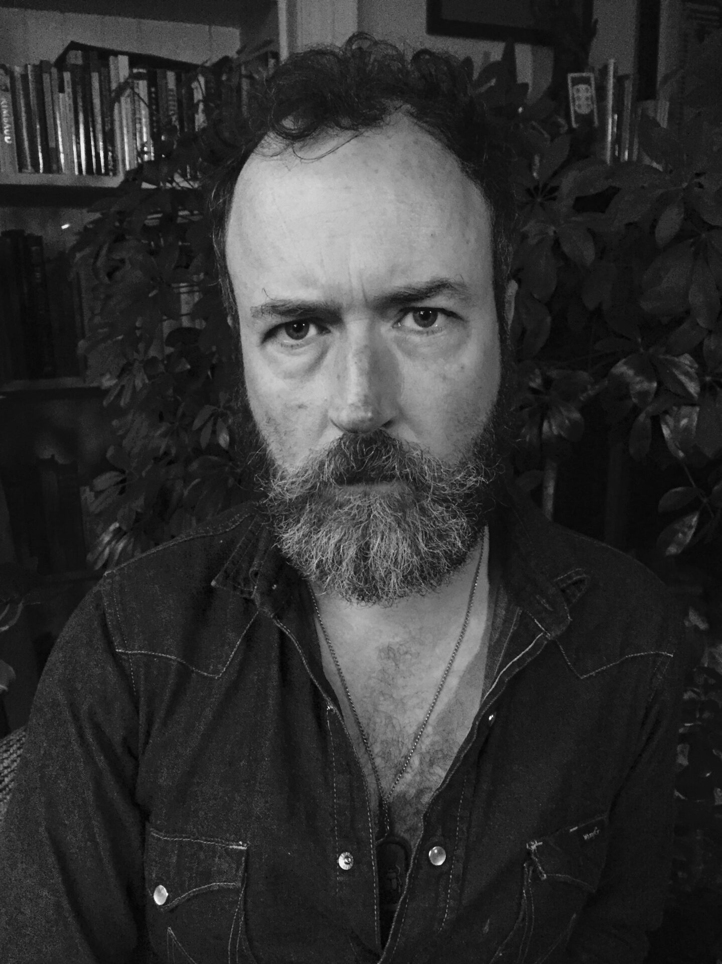 Peer Review: Stephen Pastel Interviews David Keenan... And Vice Versa | The Quietus