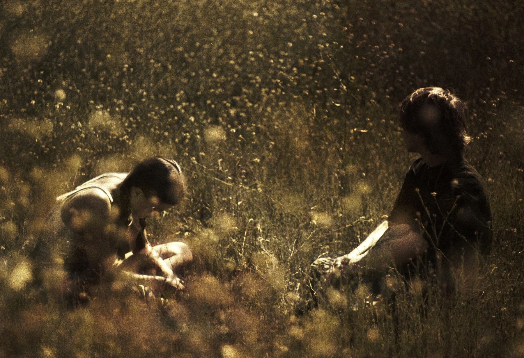 Ethel Cain Unveils New Album, 'Willoughby Tucker, I'll Always Love You' | The Quietus